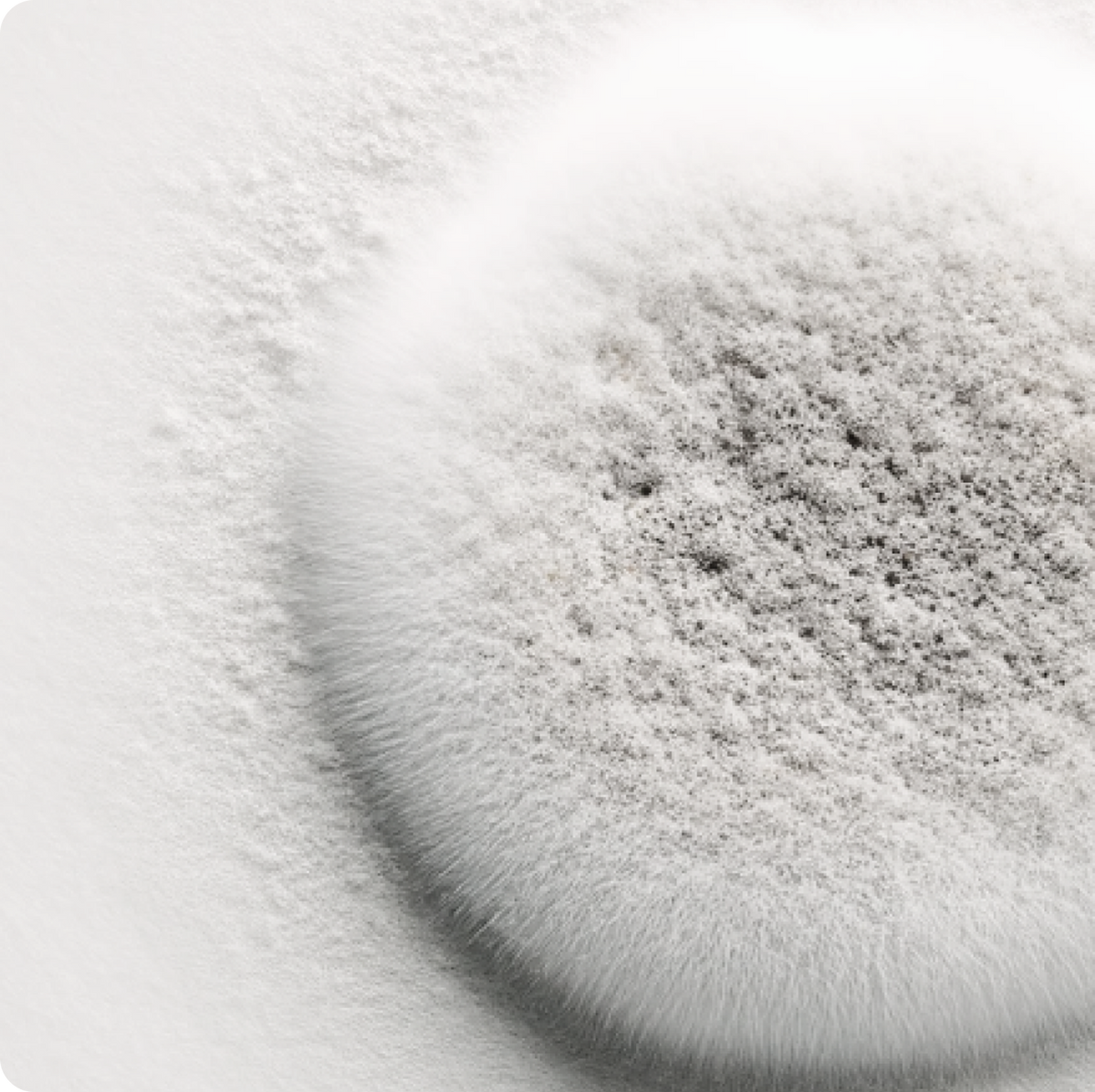 Building Cleaner (1 gal) – Superstratum Shop